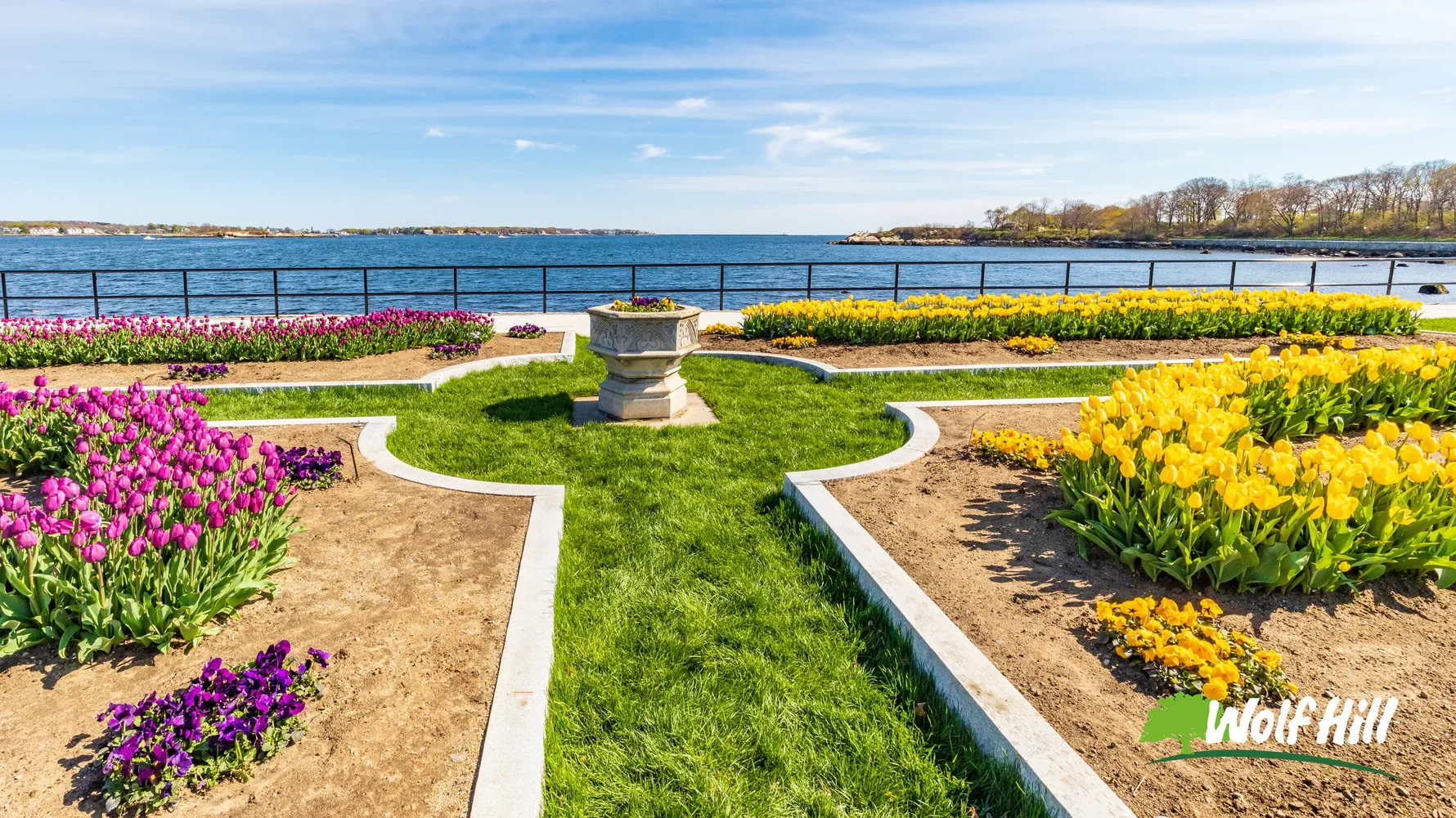 Top 10 Must-Have Plants for a Stunning Massachusetts Landscape — Wolf ...