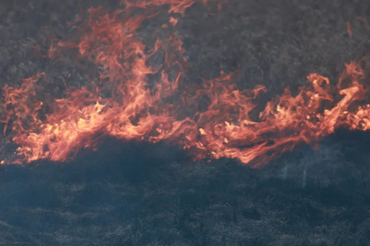 Earth, Air, Fire, Water, and Spirit - The Elements, Directions, and the ...