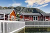 Arctic Resort Lofoten | Traditional Rorbu, Arctic Apartments & Suite