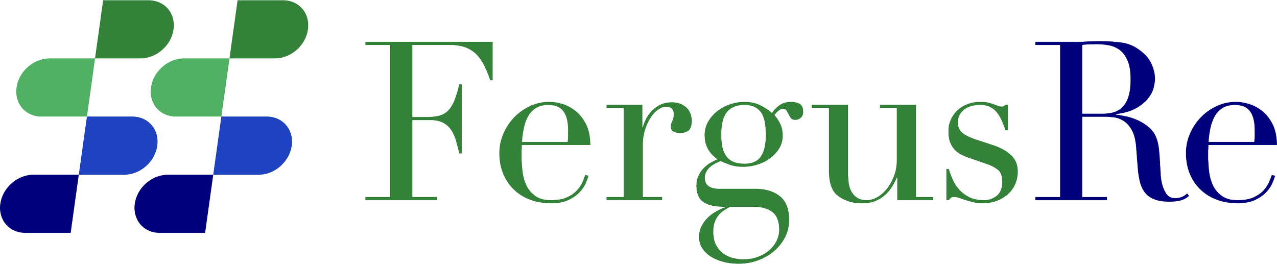 Fergus Re - Segregated Account Insurance Company