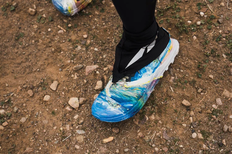 Arizona Monster 300 Trail Race — Destination Trail