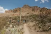 Arizona Monster 300 Trail Race — Destination Trail