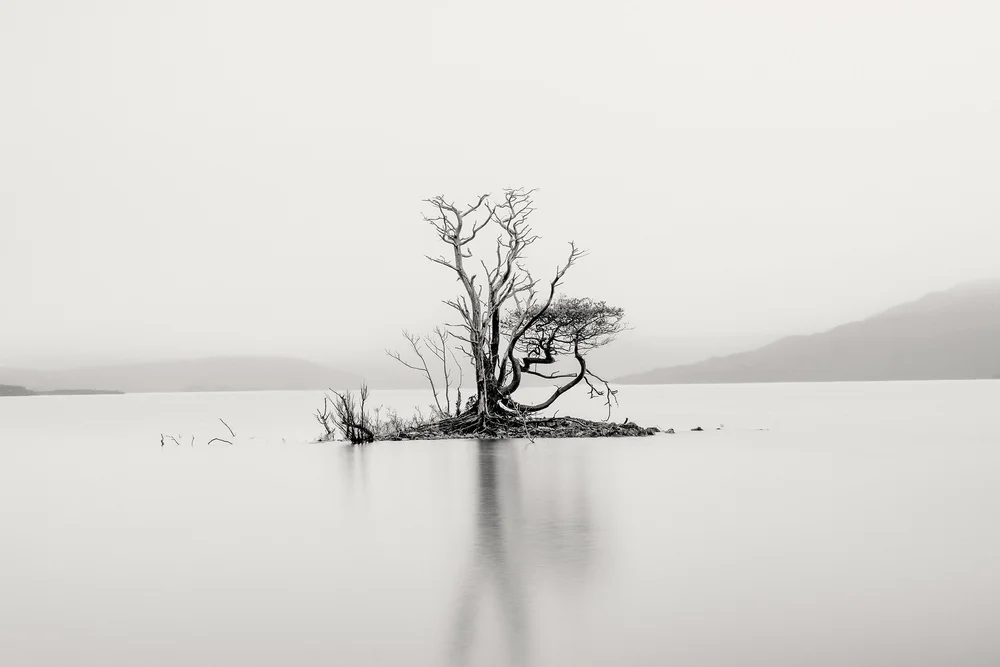 Black and White Photography | The Monochrome Collective | The ...