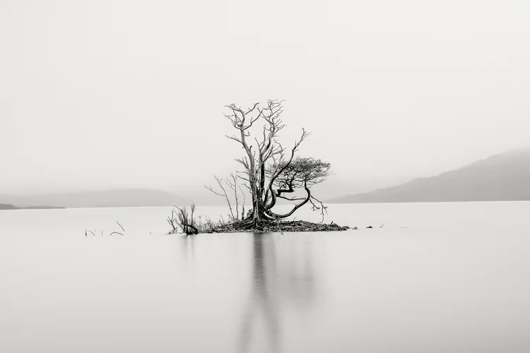 Black and White Photography | The Monochrome Collective | The ...