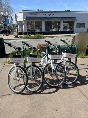 Visit | Discover and Support Downtown Novato — Downtown Novato Business ...