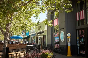 Visit | Discover and Support Downtown Novato — Downtown Novato Business ...