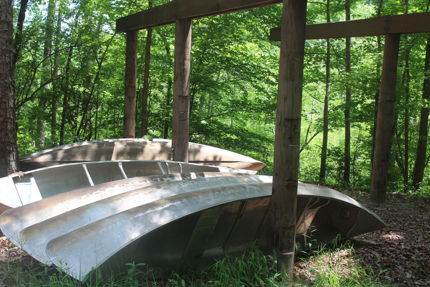 Camp Toccoa Overnight Summer Camp | Join the Adventure Today — Camp ...