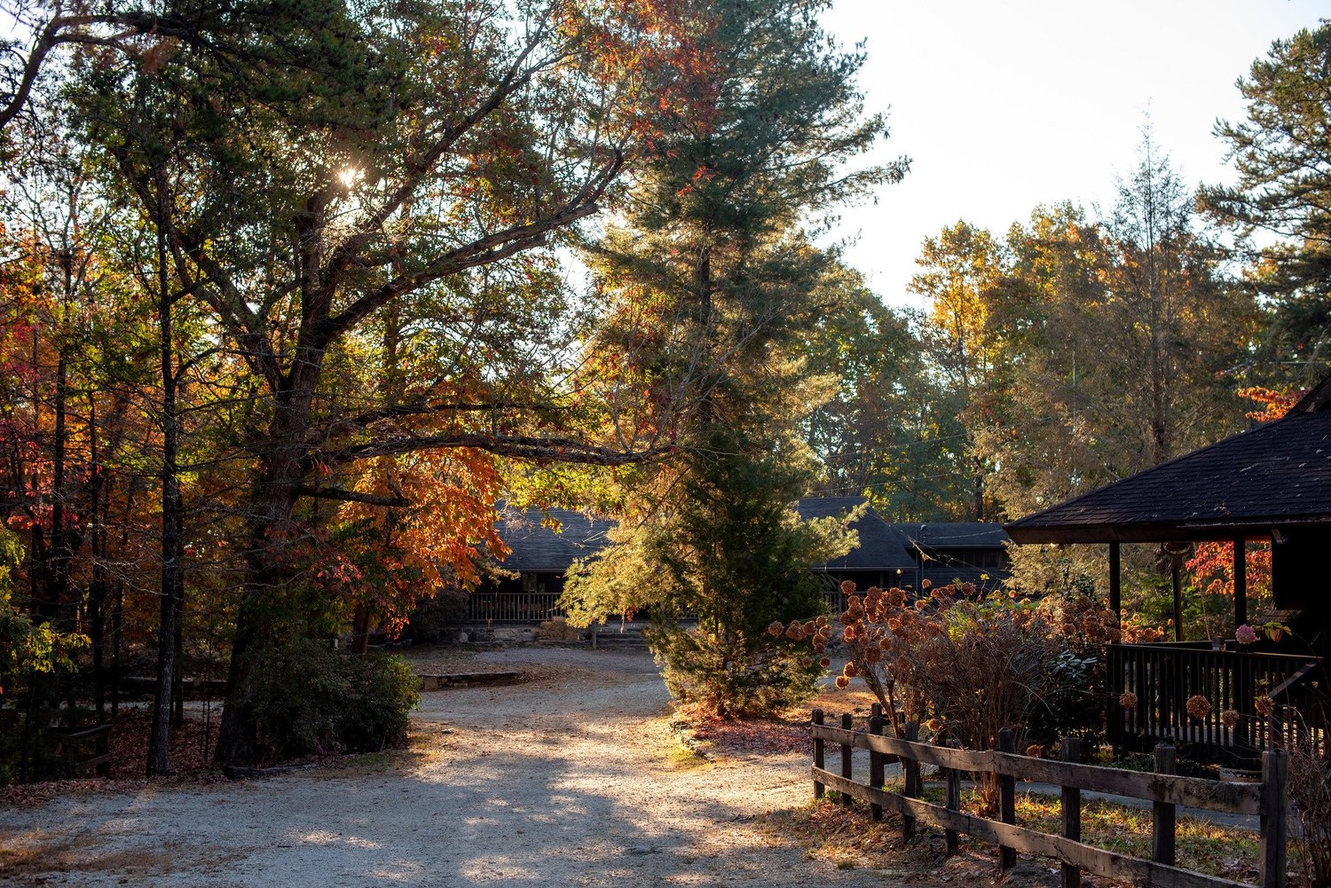 Camp Toccoa Overnight Summer Camp | Join the Adventure Today — Camp ...