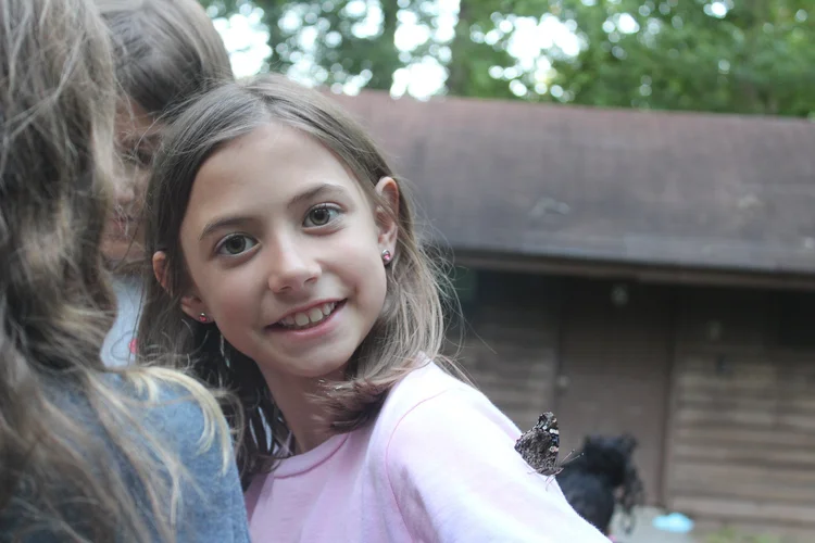 Camp Toccoa Overnight Summer Camp | Join the Adventure Today — Camp ...