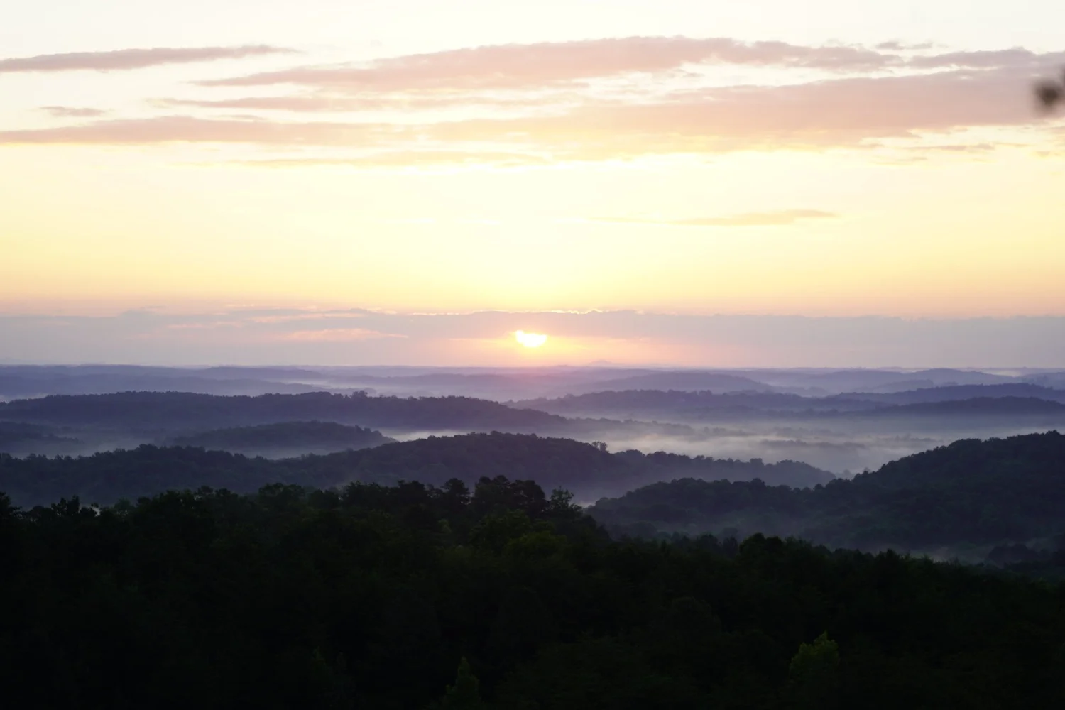 Camp Toccoa Overnight Summer Camp | Join the Adventure Today — Camp ...
