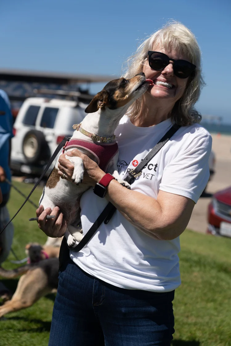 Volunteer — Project Street Vet