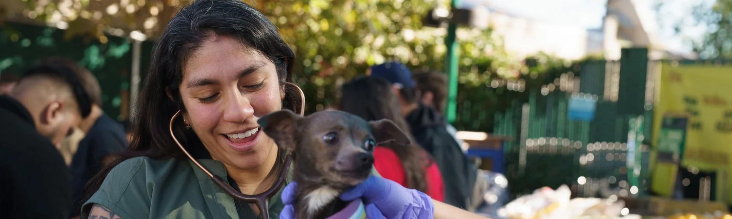 What We Do — Project Street Vet