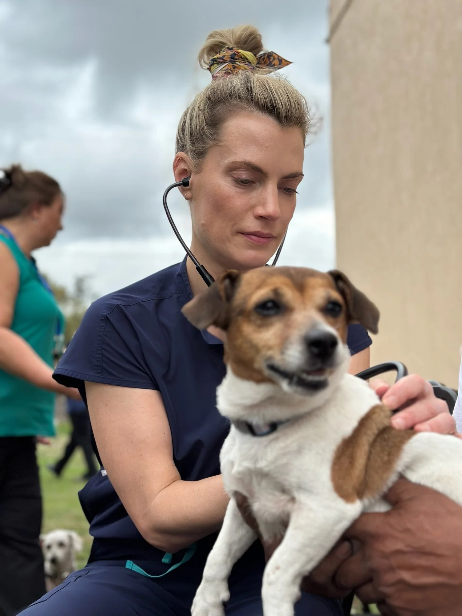 Locations / Orlando — Project Street Vet