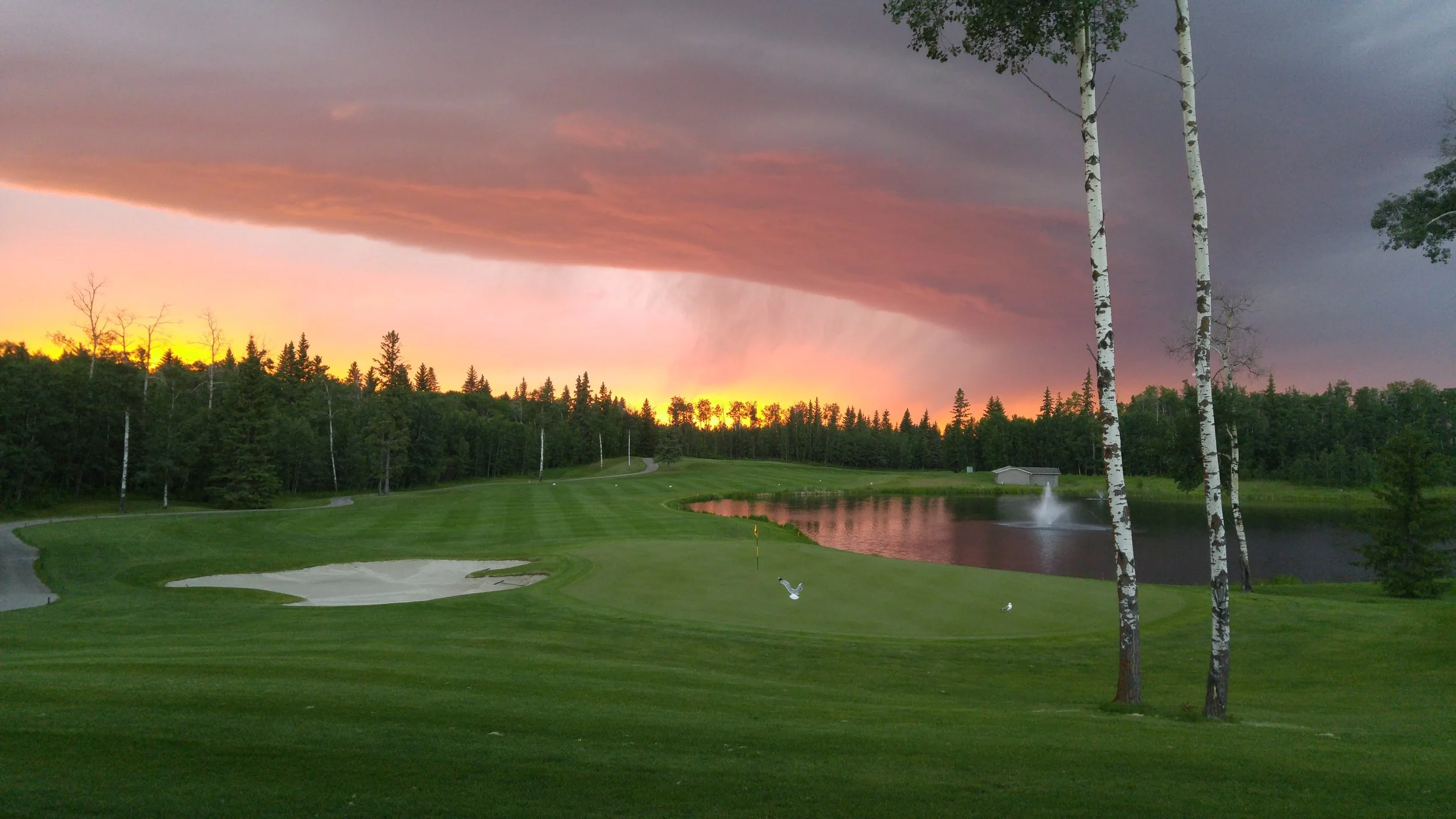 Northern Bear Golf Course