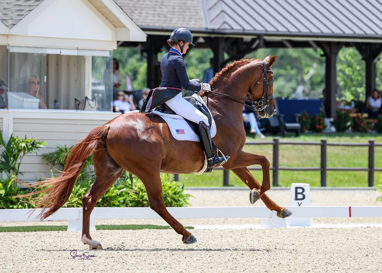 Kingsley Riding USA | Explore Durable Equestrian Gear Today
