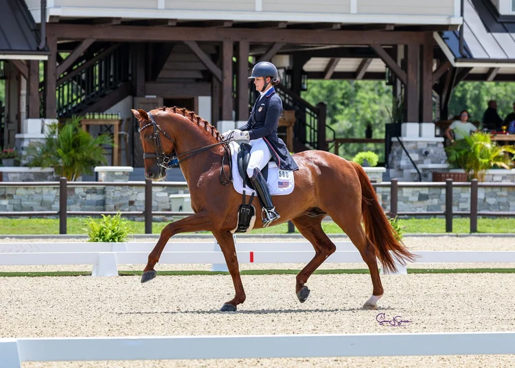 Kingsley Riding USA | Explore Durable Equestrian Gear Today