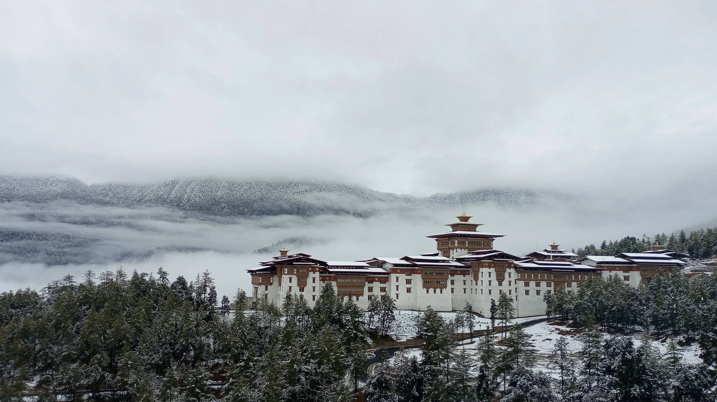 Contact 1 — Druk Gyalpo's Institute