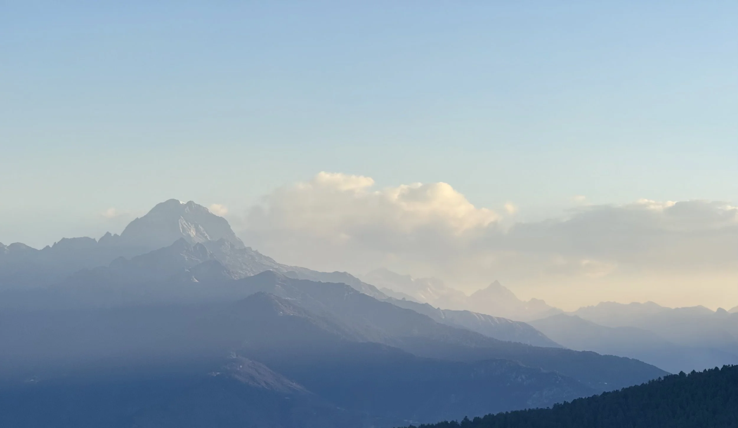 Meet the Team — Druk Gyalpo's Institute