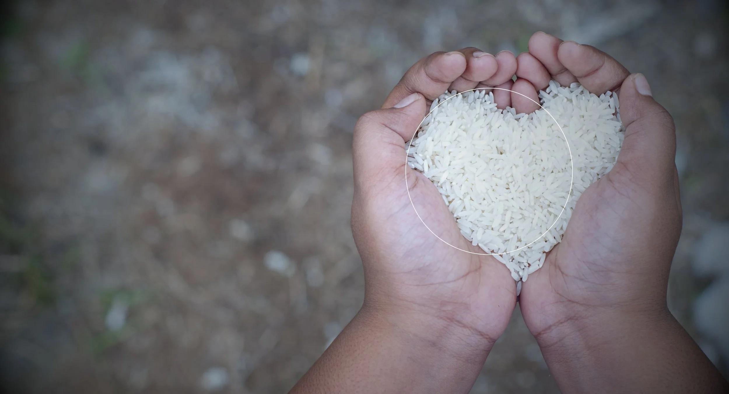 Who We Are | Join Our Cause Today — CASA