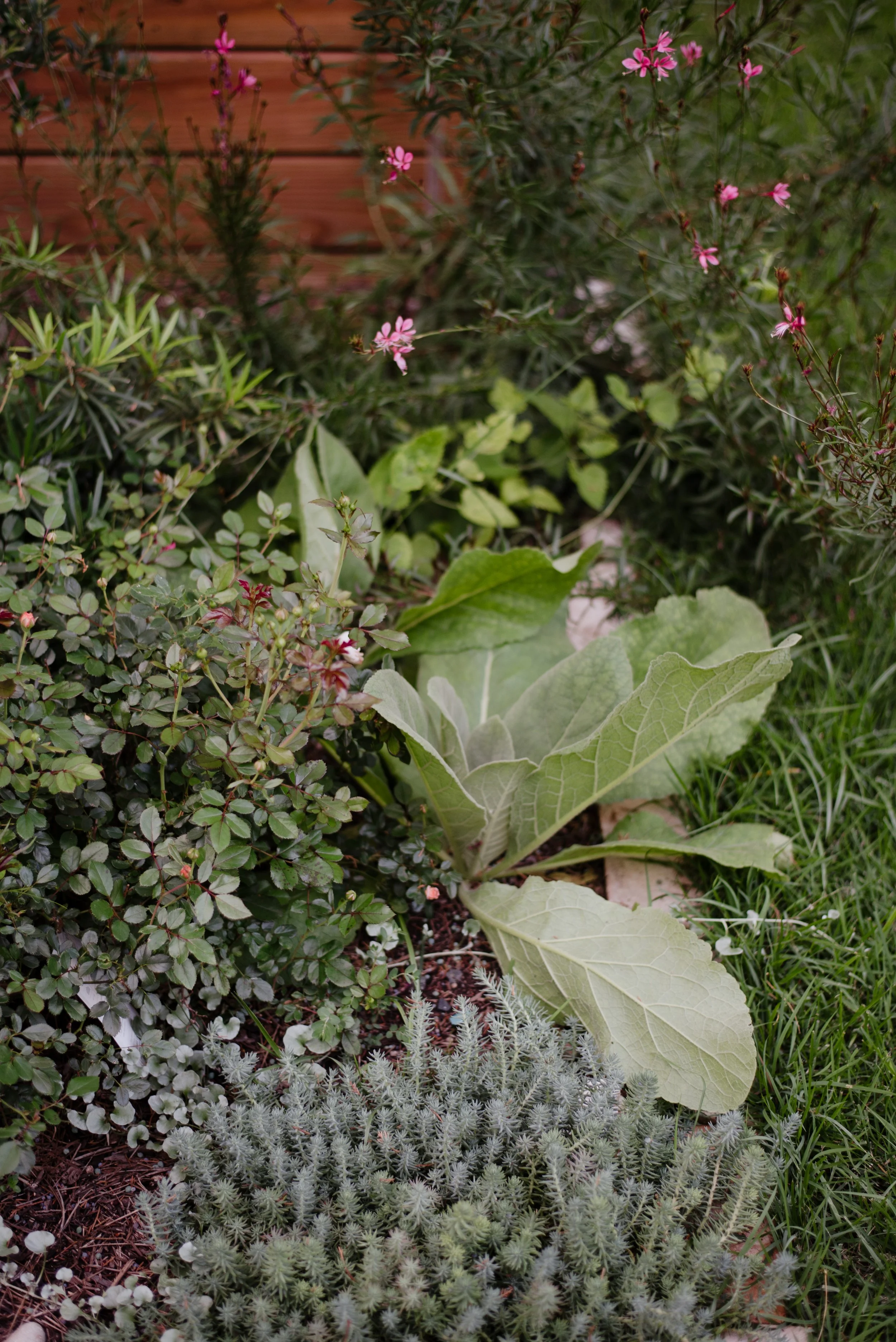 Contact | Start Your Landscape Transformation — Drift Landscape Design
