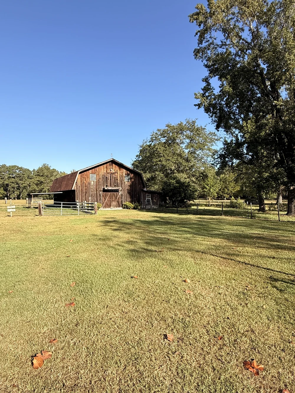 Gallery 1 — Dublin Farm
