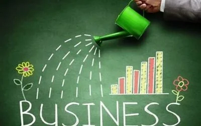 How Small Businesses Can Grow: Essential Strategies and Tips — Sarah ...