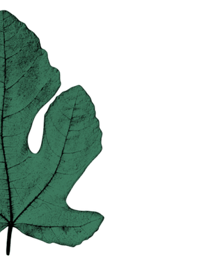 The Climate Mobilization