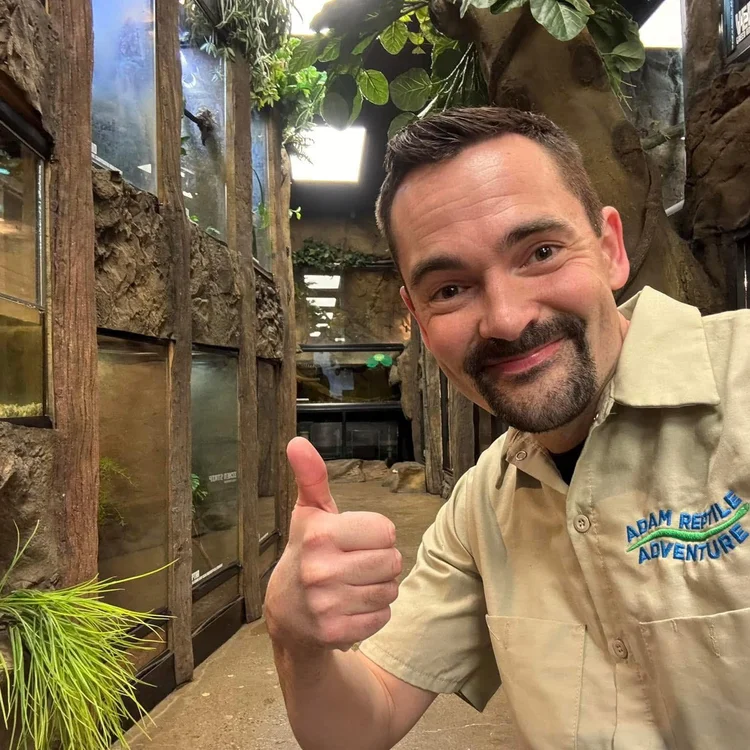 Reptile Adventure Zoo