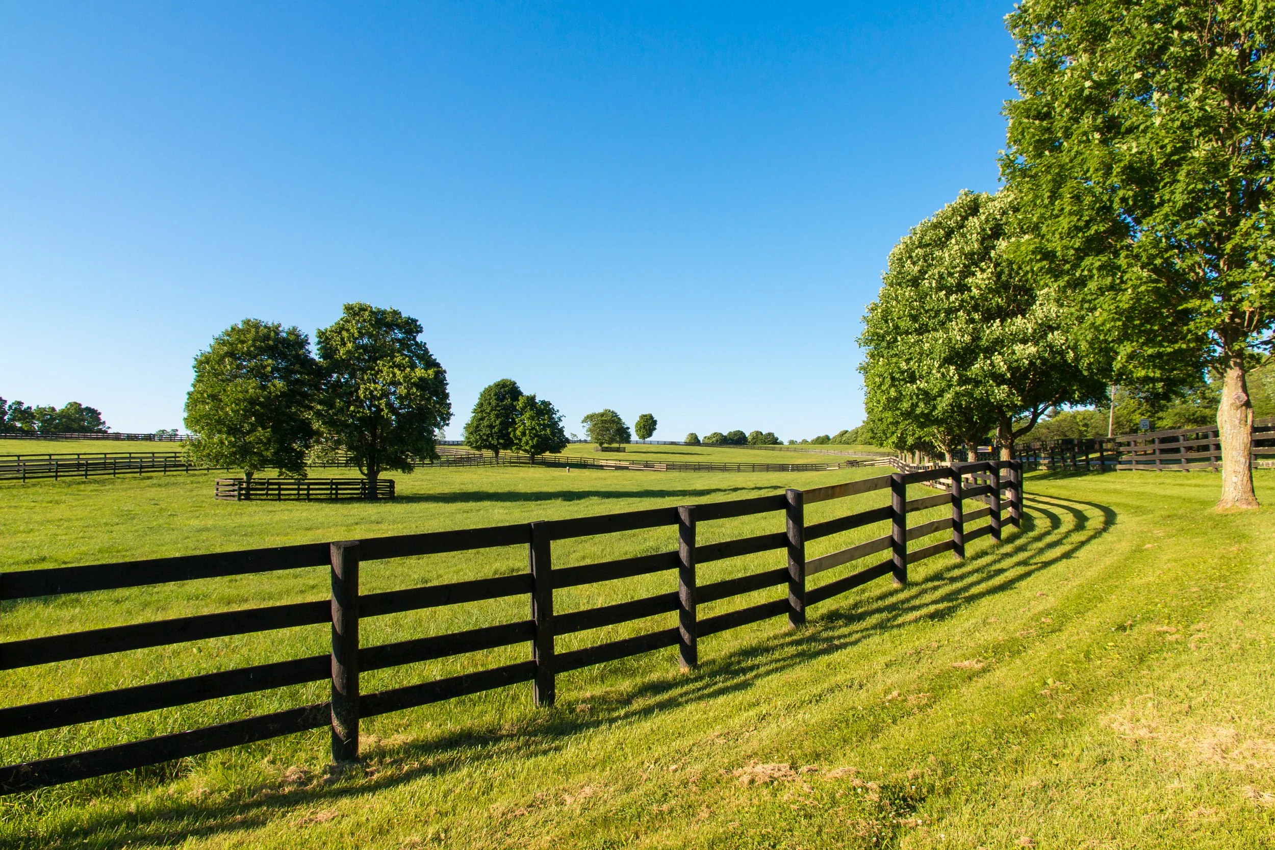 About Lone Star Fence Works | Fence Builders Rockwall & Royse City TX ...