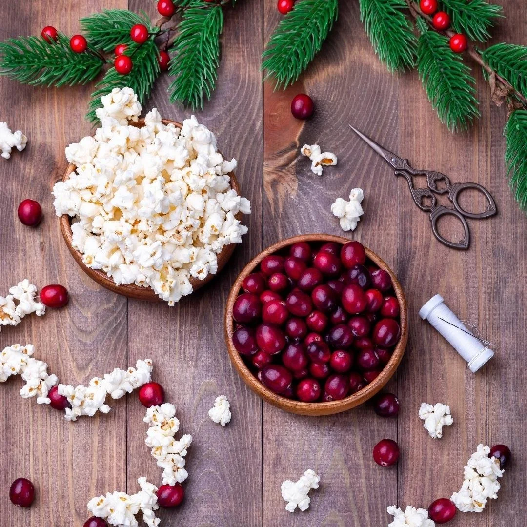 How to String Cranberries | MOTHERCOULD | Mothercould