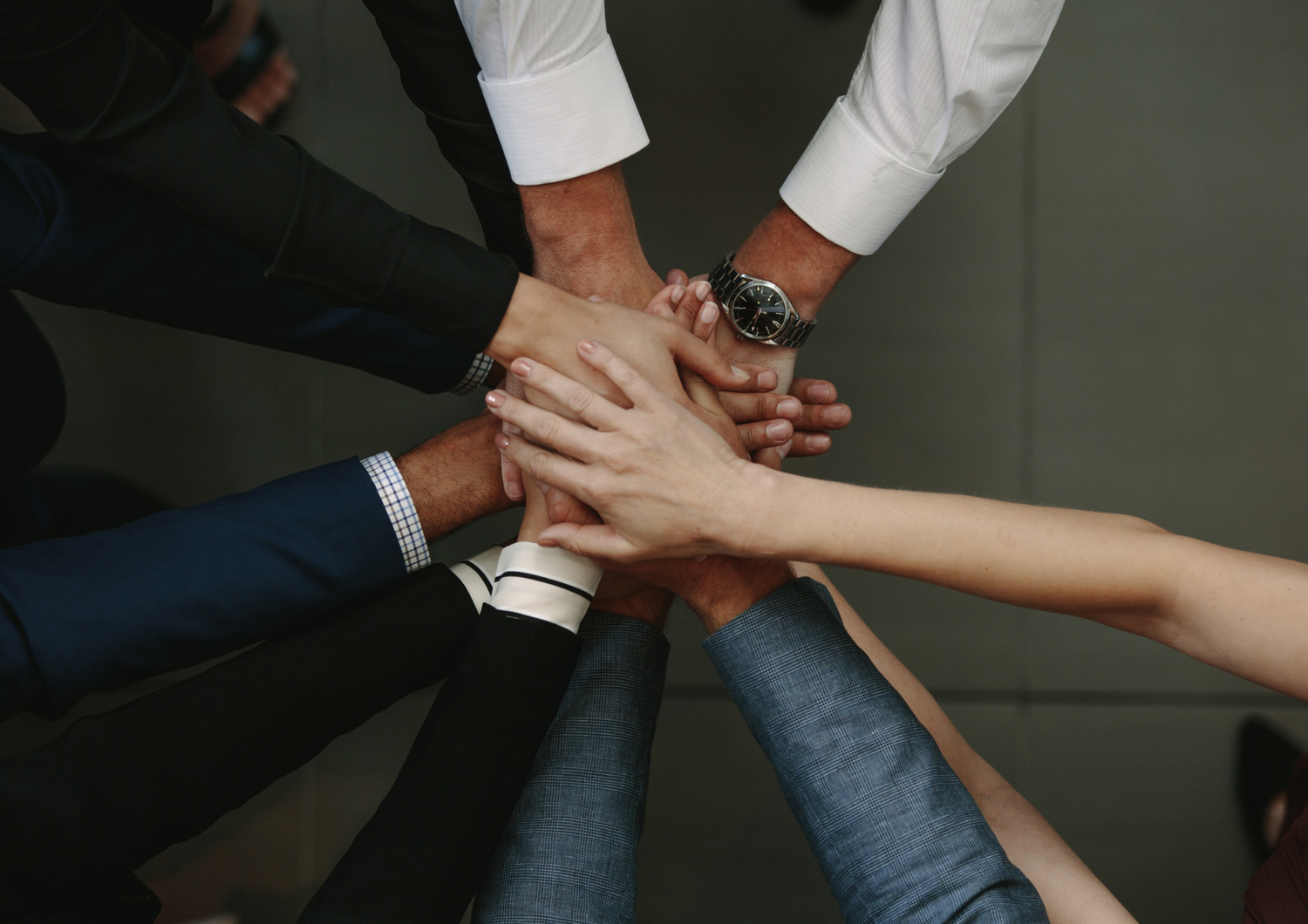 About Us — NZCTA
