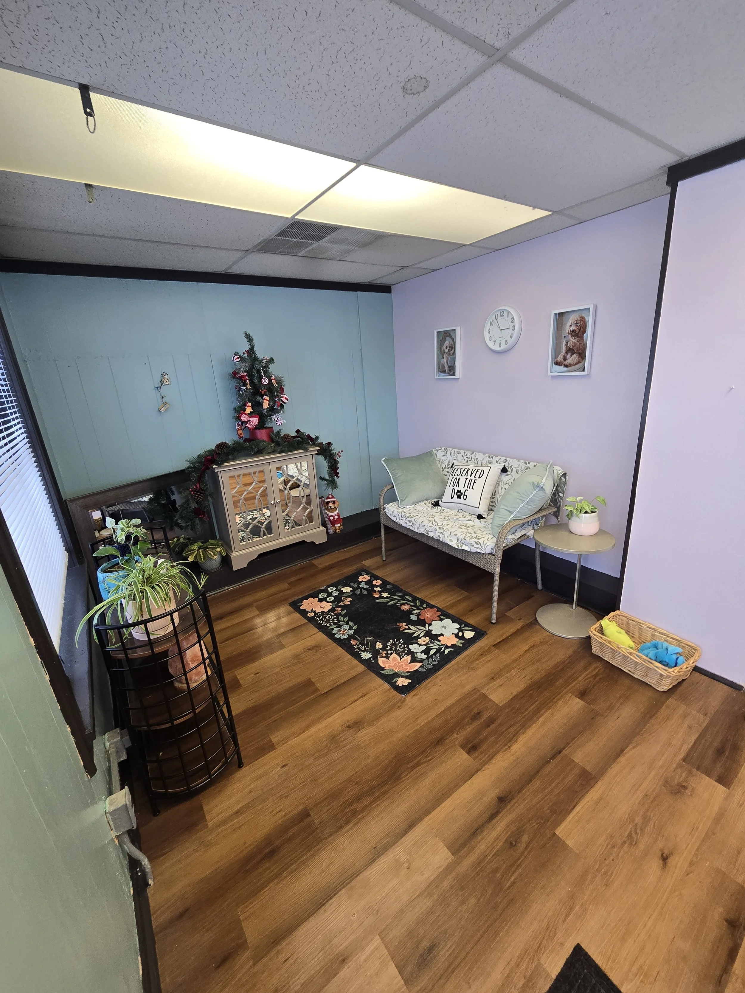 The Zen Pup Spa | Book Your Pet's Zen-Full Grooming Today