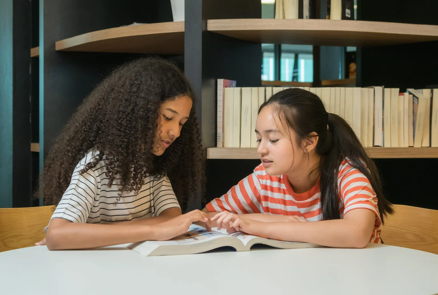 Reading Mini Lesson Library — Zinc Learning Labs