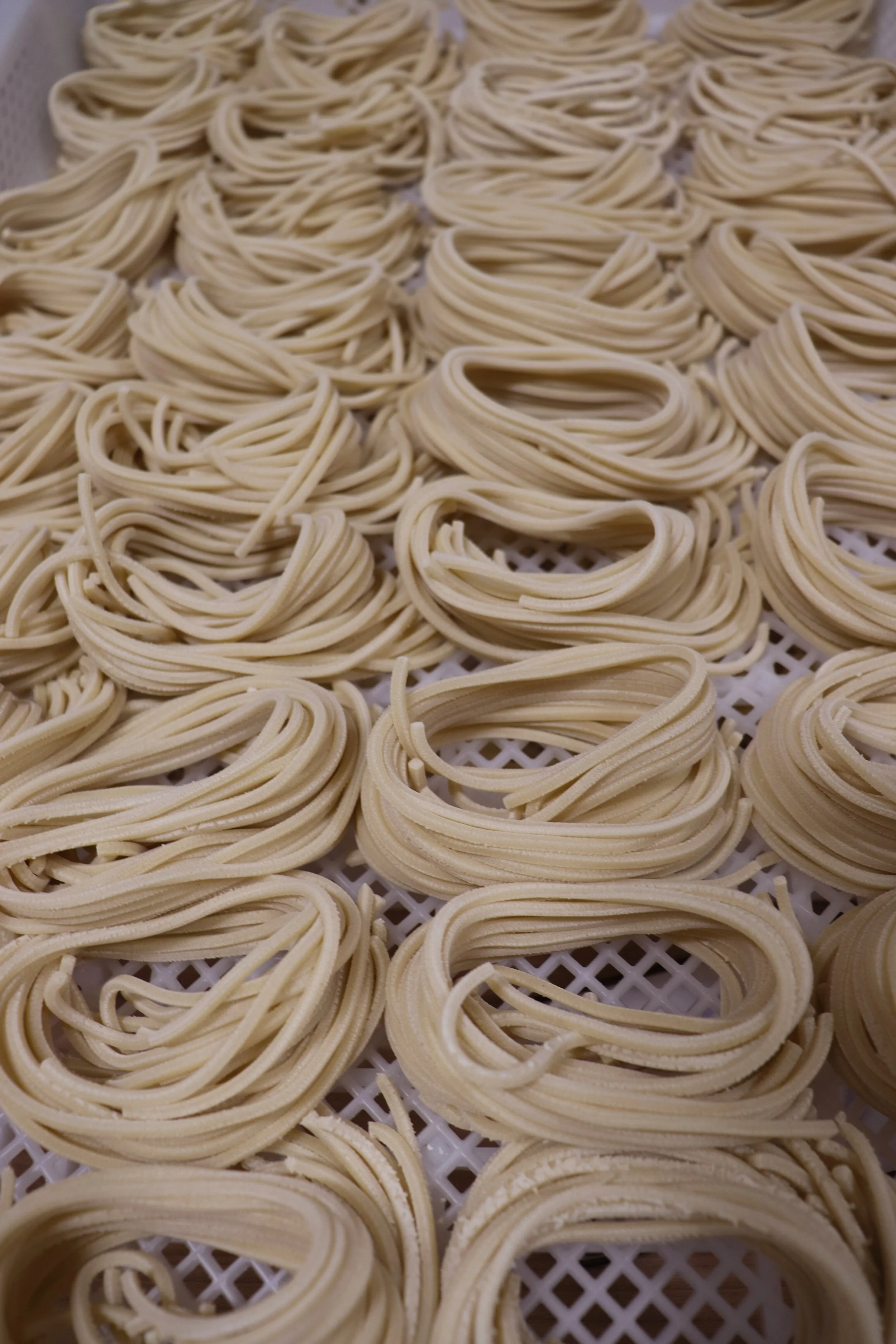 Pasta Masters Cucina