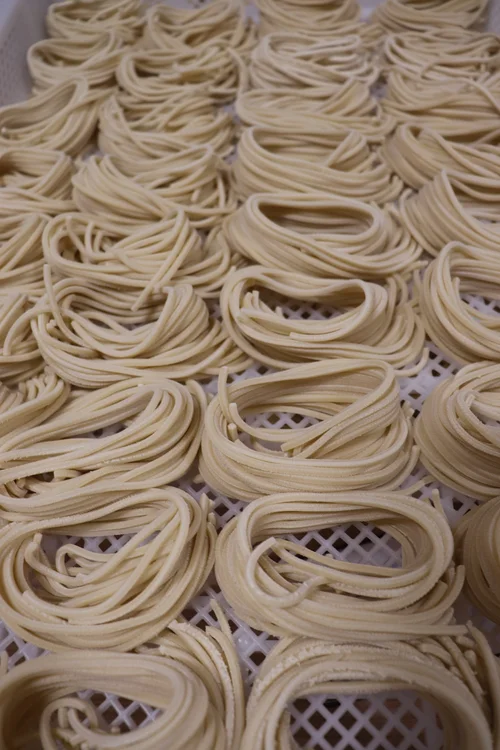 Pasta Masters Cucina