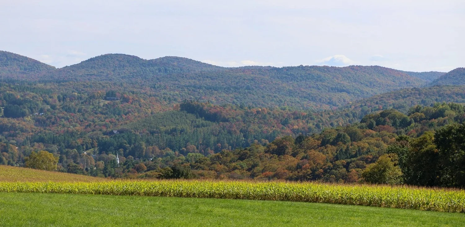 Forms & Documents | Explore & Download Forms Today — Washington, Vermont