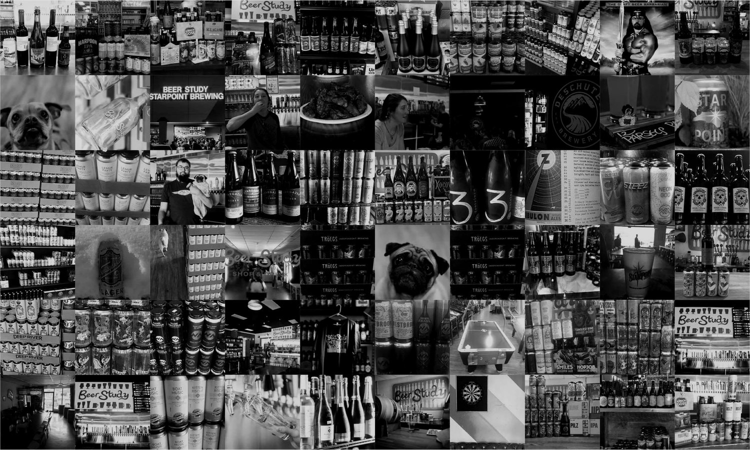 Beer Study