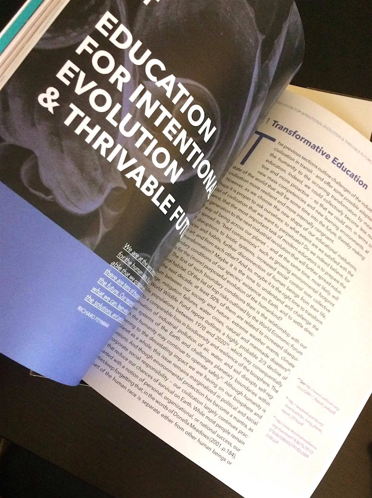 Educational Ecosystems for Societal Transformation — Academy for ...