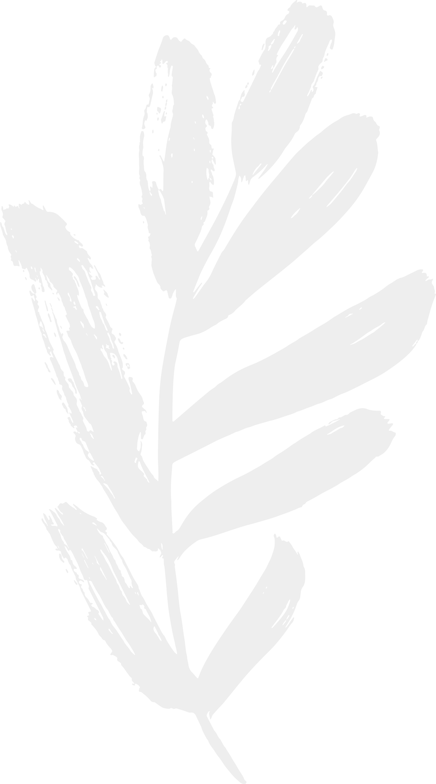 Donella Meadows Project — Academy for Systems Change