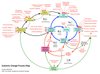 Systemic Change Map — Academy for Systems Change