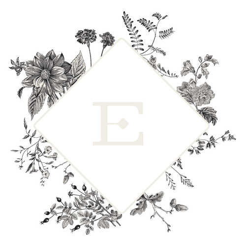 point easy | A pasta forward, chef-driven Denver neighborhood restaurant