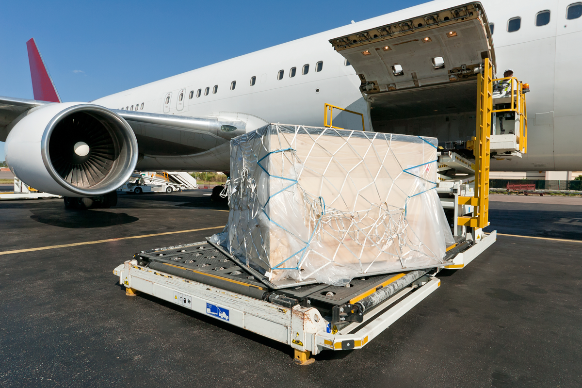 Logistics & Supply Chain Services — ProTrans
