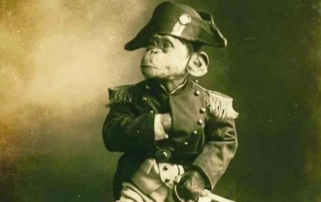 Who Hung the Monkey? | An Old Song from Hartlepool — Jon Wilks