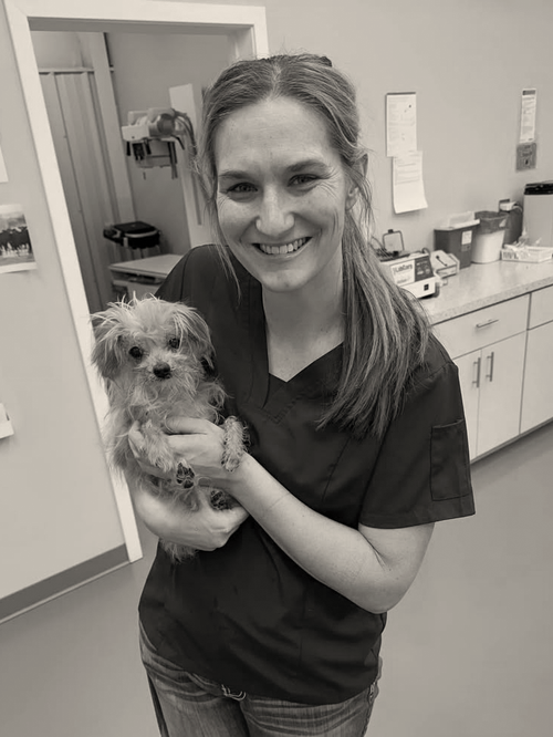 Your Hometown Vet Clinics | High-Quality Care