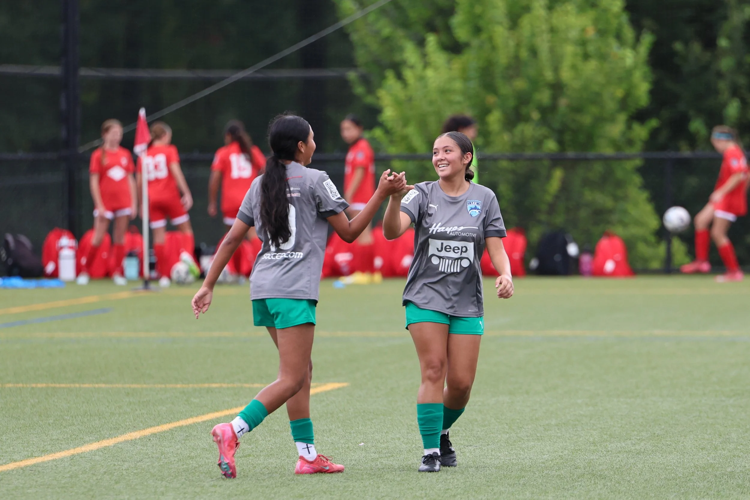 DPL Soccer — Lanier Soccer Association