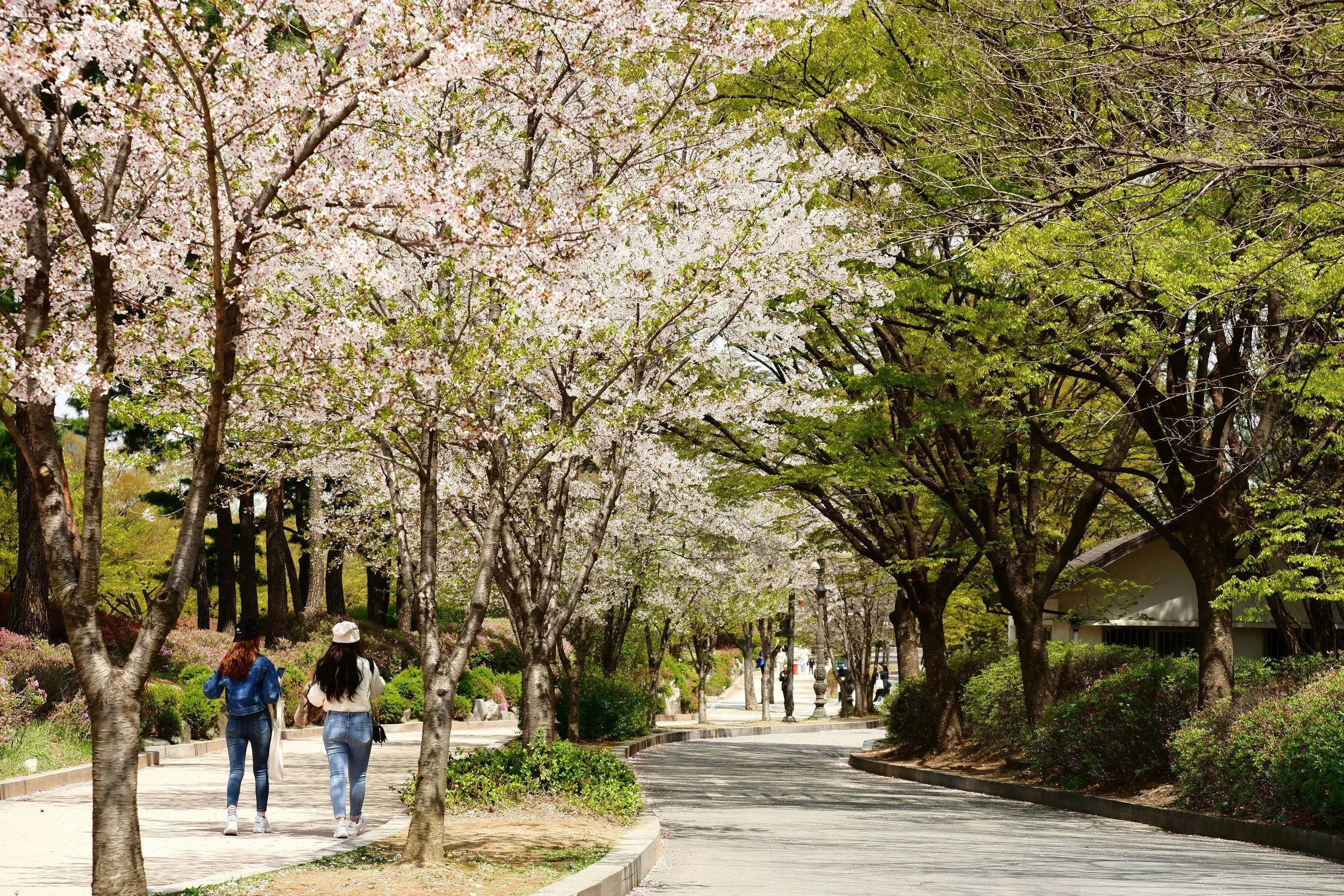 Take Me To Japan - List of Universities in Japan
