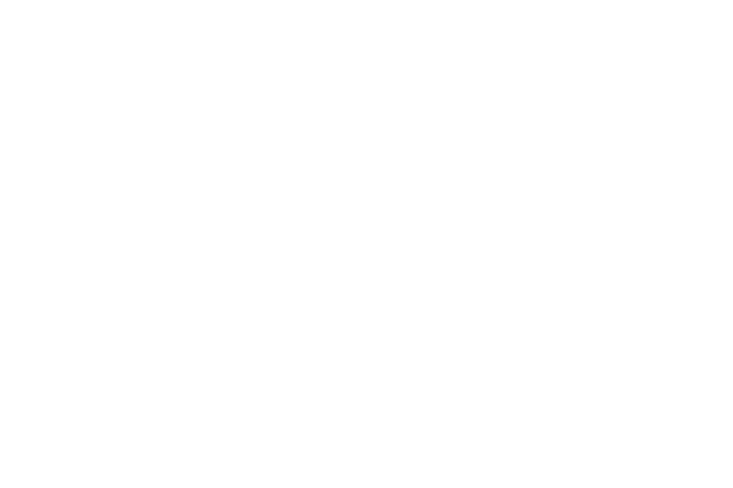 Taurus Capital