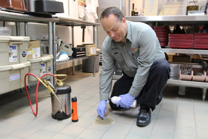 Services | What We Offer — Arrow Pest Control