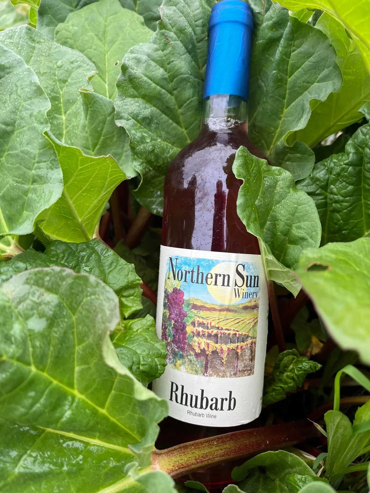 Northern Sun Winery
