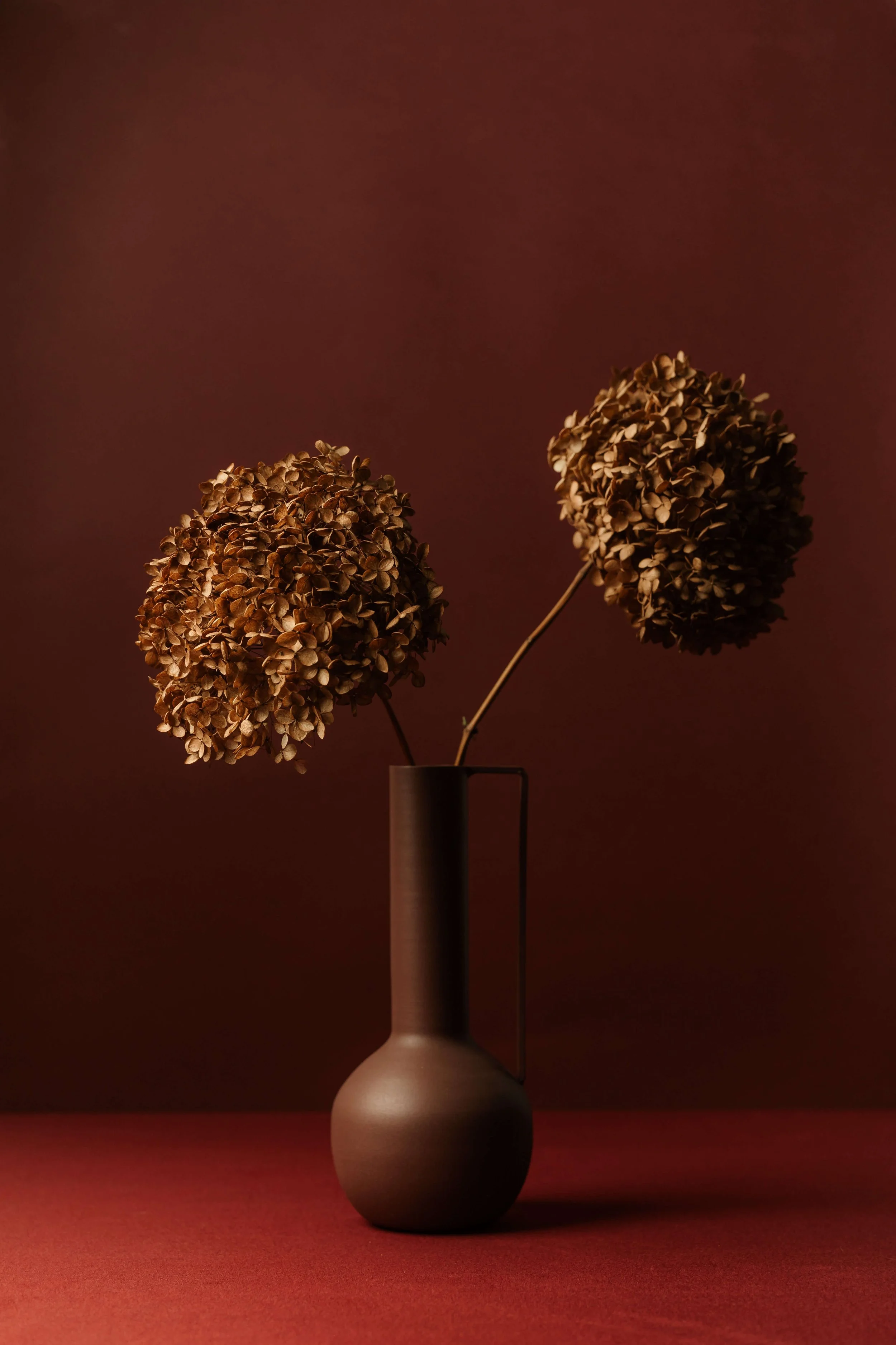 Web & Brand Design Studio | Rosella Studio